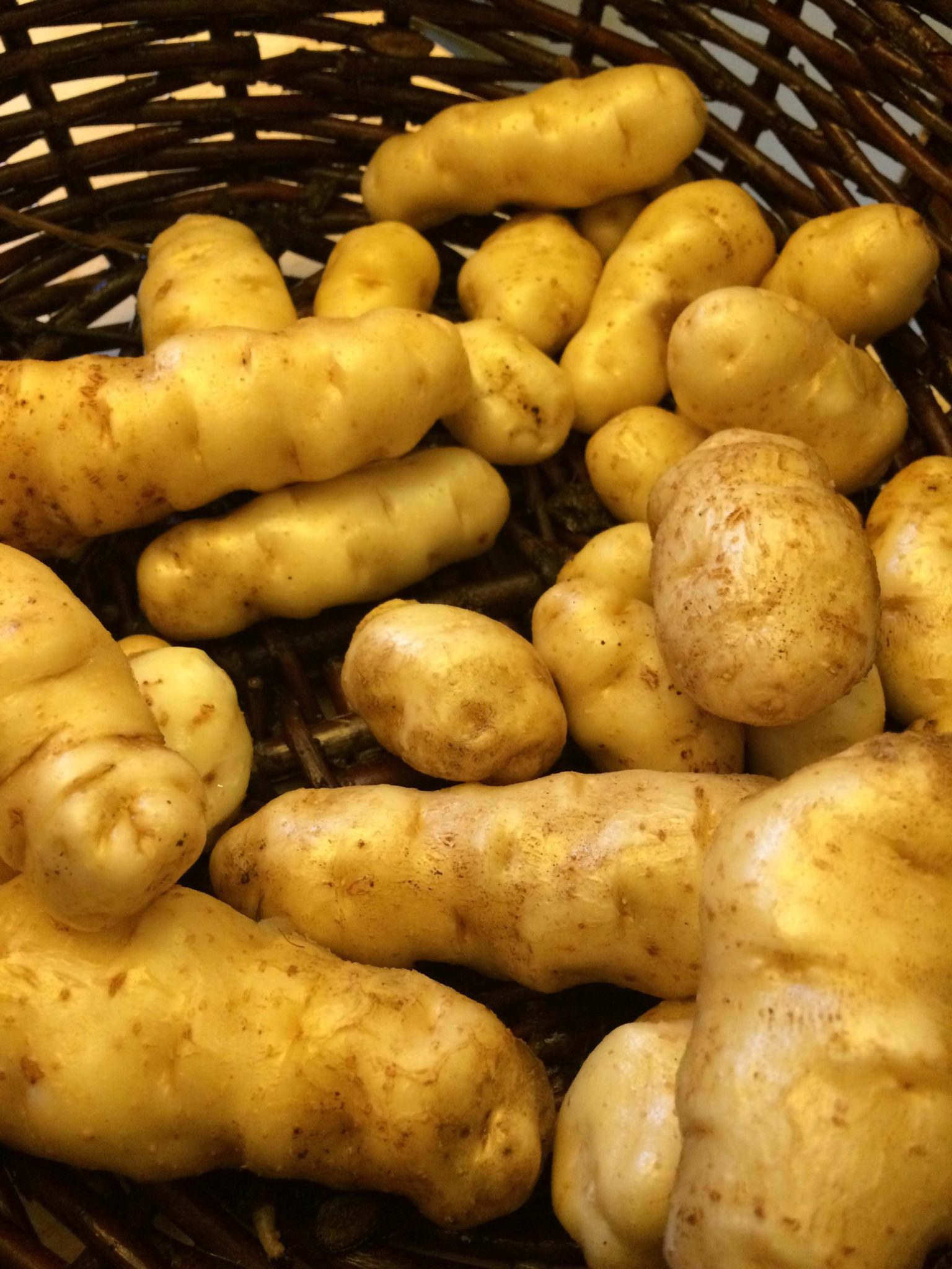 Calling All Potatoes – Cone Grown